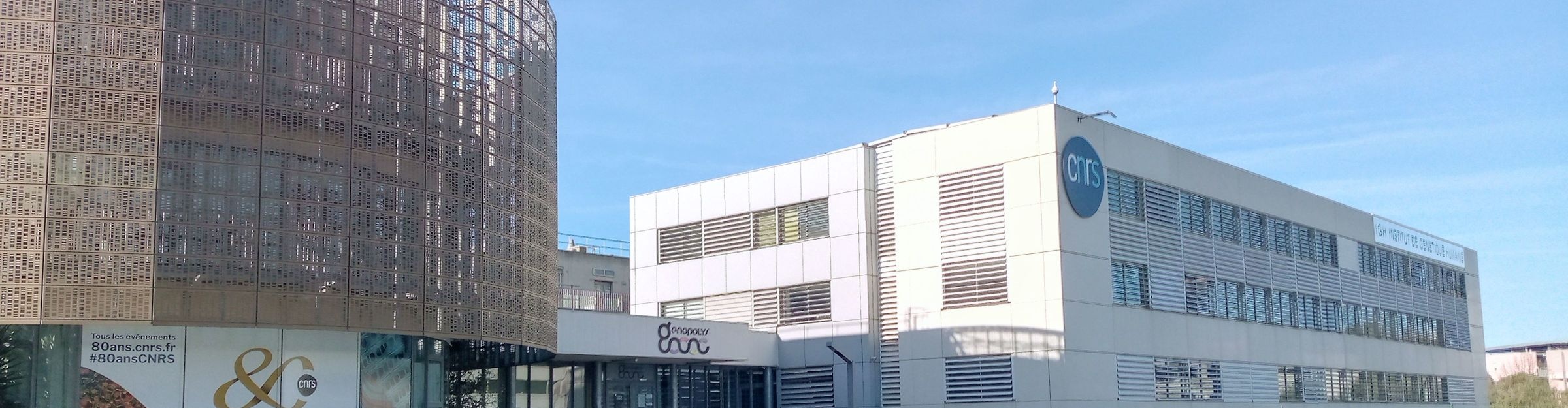 À propos de l'IGH - Igh